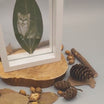 Customized Leaf Engraving Photo Frame - Dreamy Custom